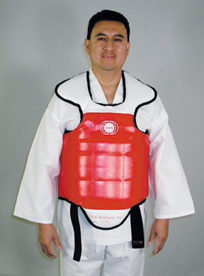 Reversible Chest Protectors